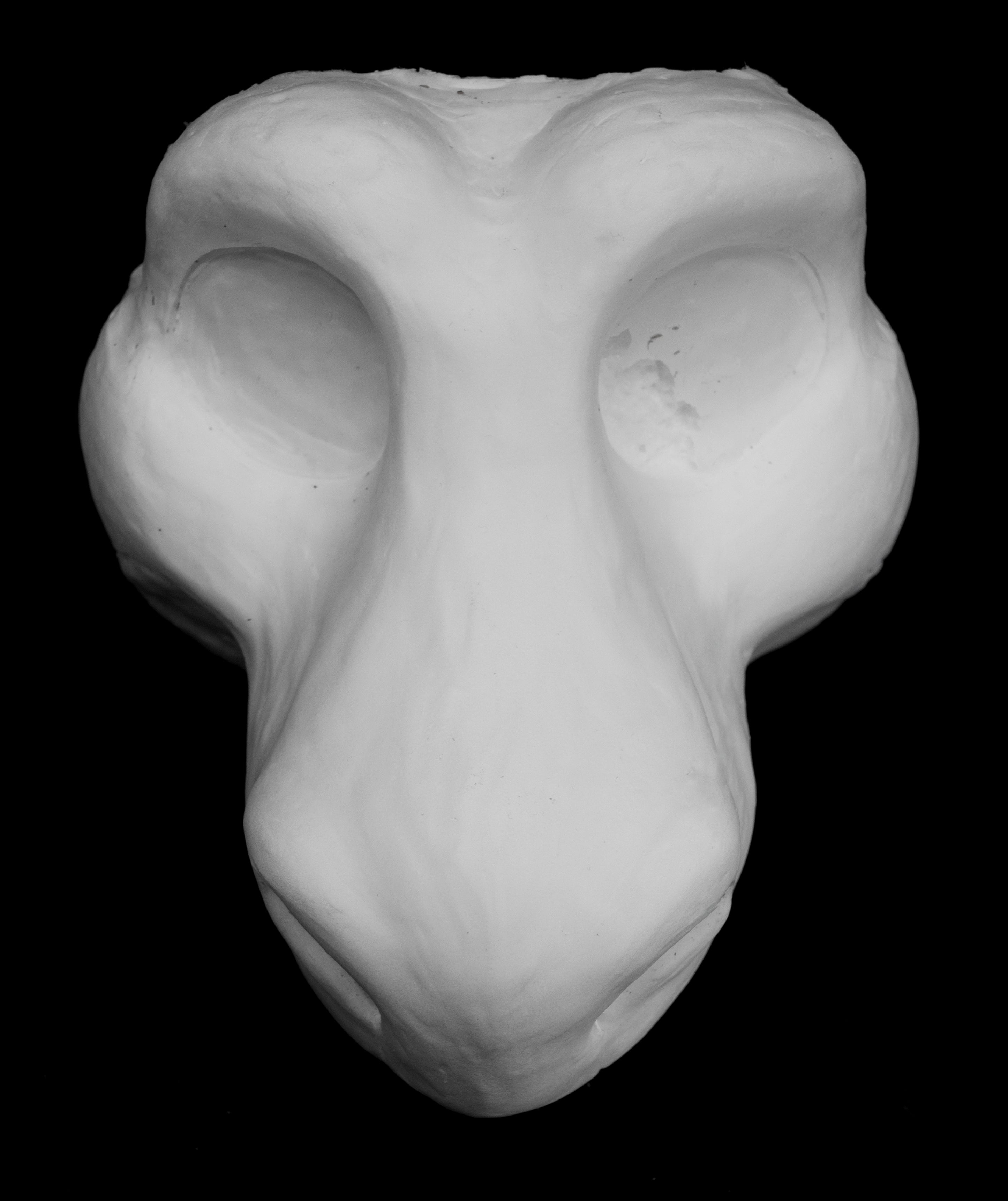 Raptor foam head base for costumes, mascots and fursuits. – Runaway ...