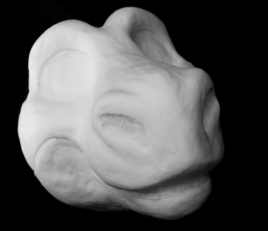 Raptor foam head base for costumes, mascots and fursuits. – Runaway ...