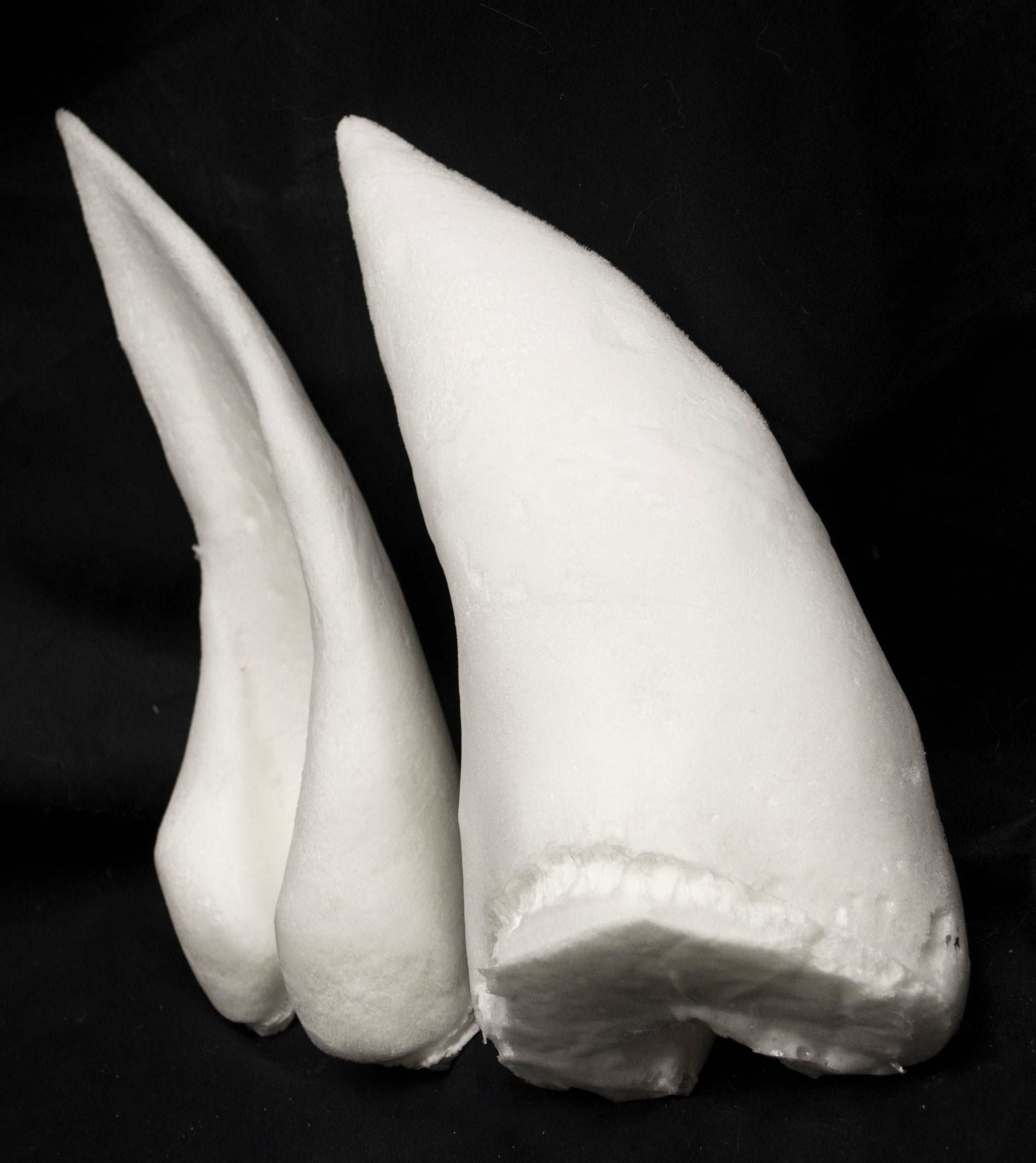 Manokit ears for costumes, mascots and fursuits – Runaway Workshop