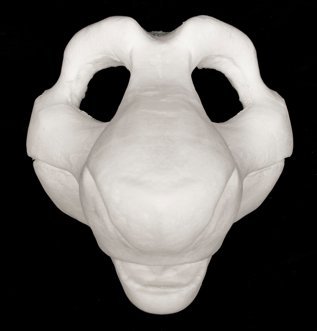 Sergal bundle deal: cut and carved head base, Eyes and feet for costum ...