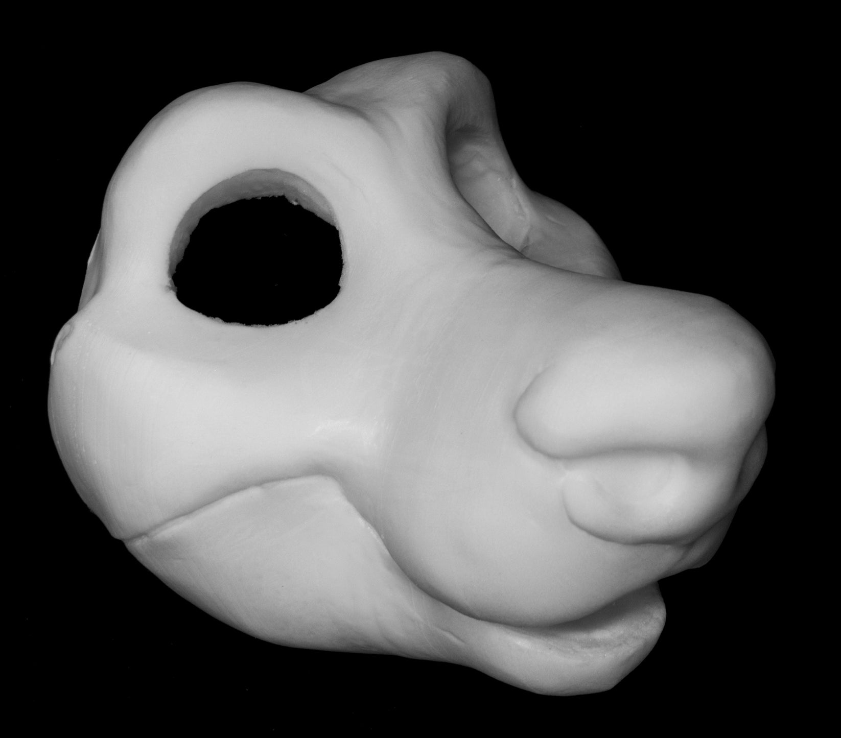 Happy Canine bundle deal: cut and carved head base, Eyes and Feet padd ...